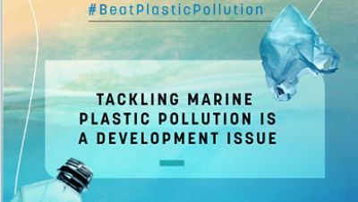 World Bank Group and the Intergovernmental Negotiating Committee on ...