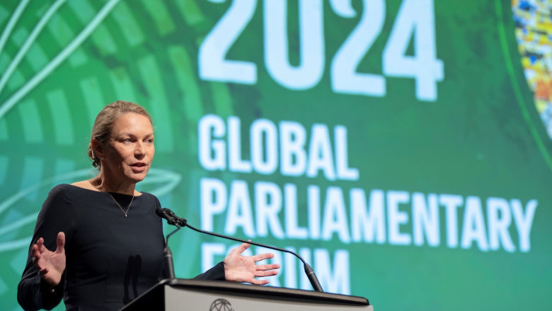 AM Secretary Urges Parliamentarians to Make It Easier for Project ...