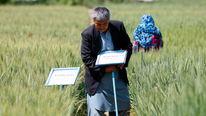 Afghanistan Futures
