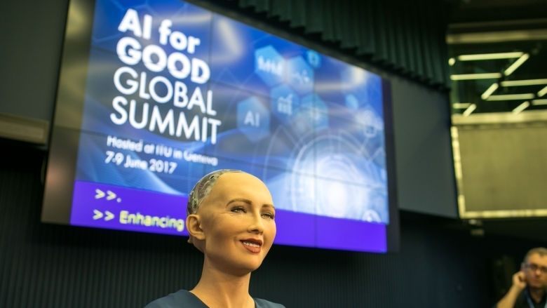 Developing AI for development