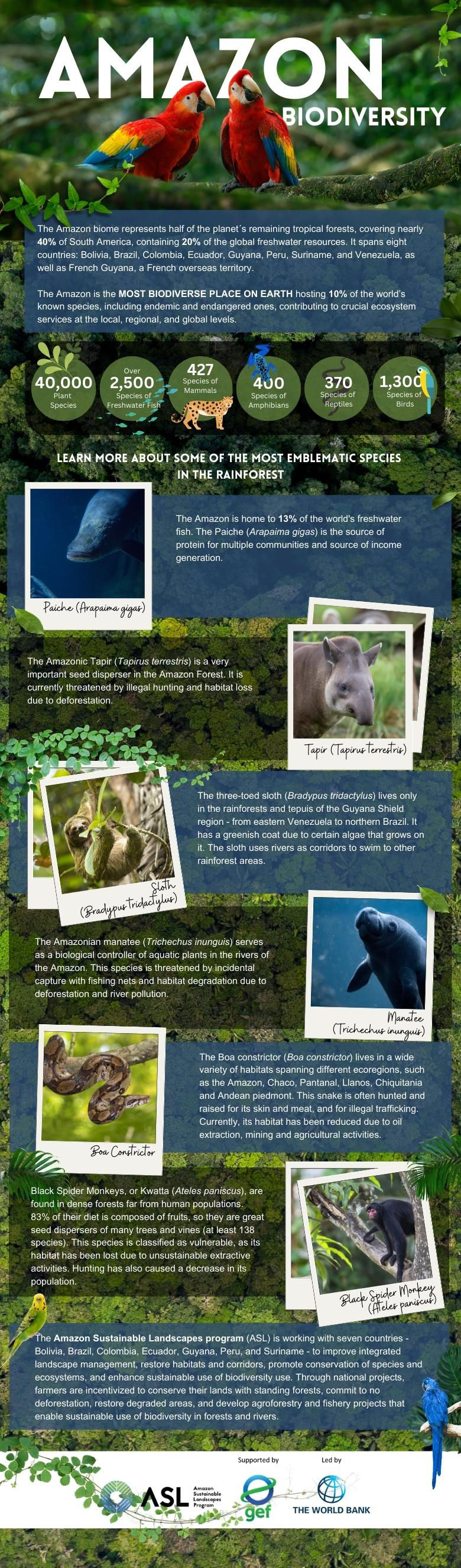 The Amazon Biodiversity. Learn more about some of the most emblematic ...