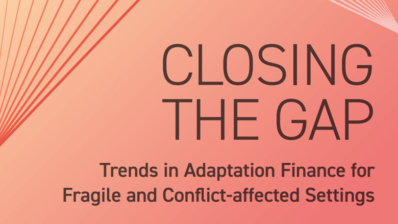 Closing the Gap: Trends in Adaptation Finance for Fragile and Conflict ...