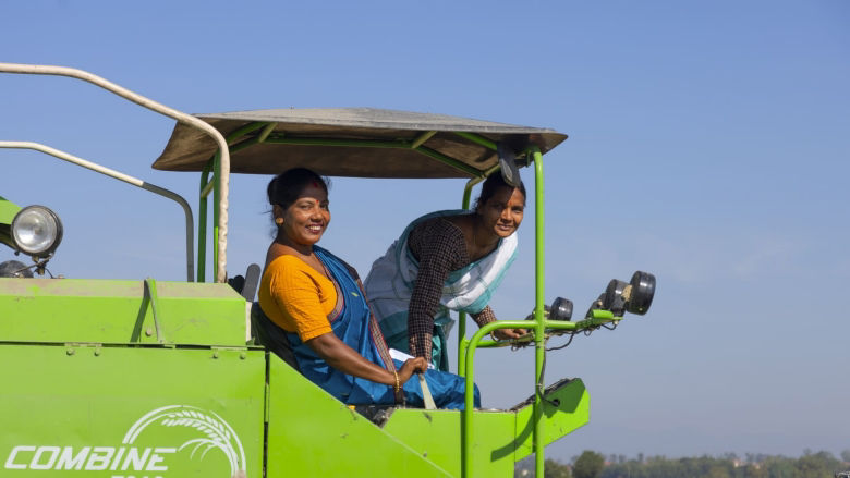 Agricultural Entrepreneurs Cultivating Success In Assam