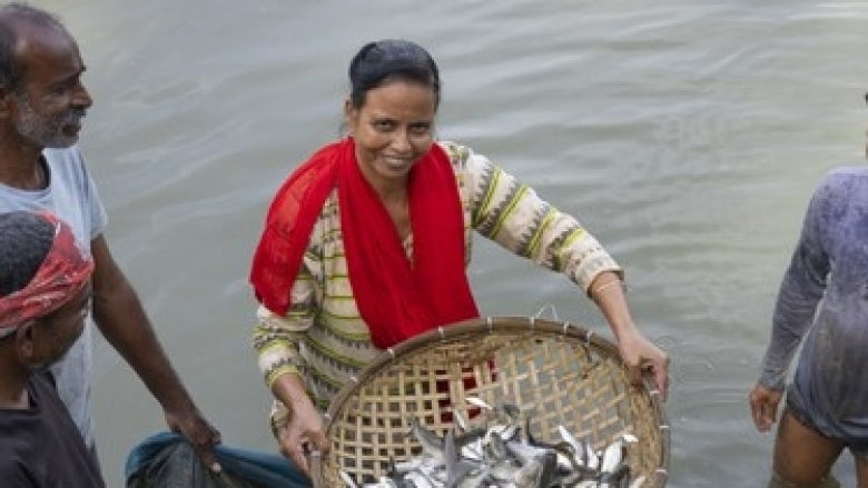 Agricultural Entrepreneurs Cultivating Success In Assam