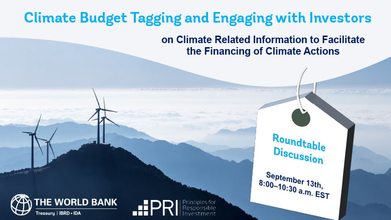 Roundtable Discussion: Climate Budget Tagging and Engaging with Investors