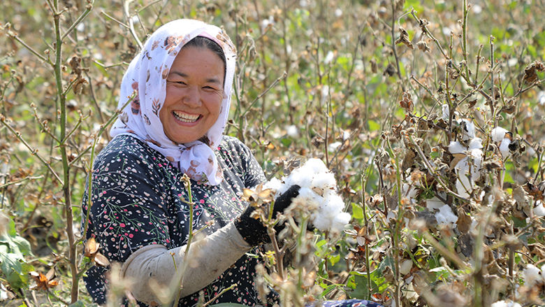 Weaving a New Future in Uzbekistan’s Cotton Sector