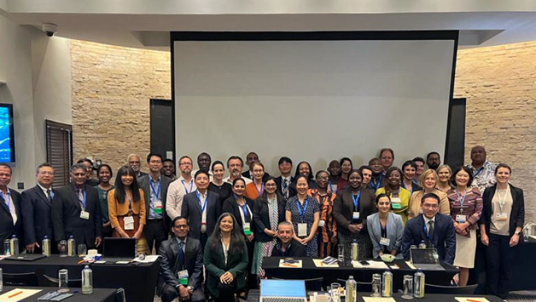 World Bank Group and the Intergovernmental Negotiating Committee on ...