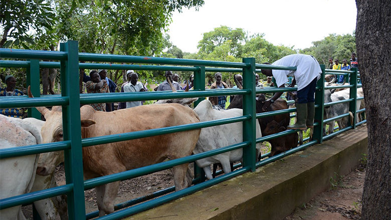 A favorable Forest Investment Program for Environment and Sustainable ...