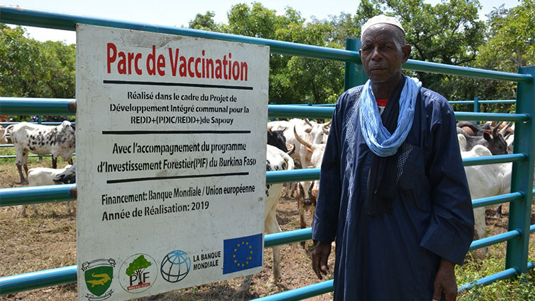 A favorable Forest Investment Program for Environment and Sustainable ...