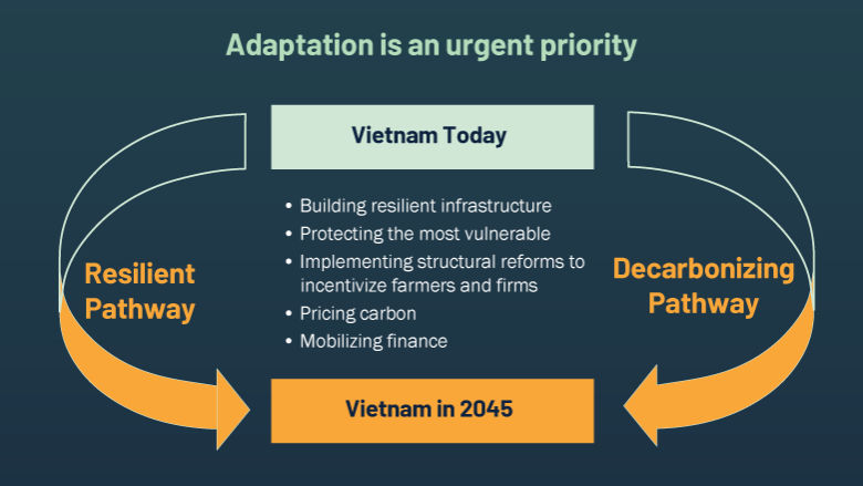 Key Highlights: Country Climate and Development Report for Vietnam