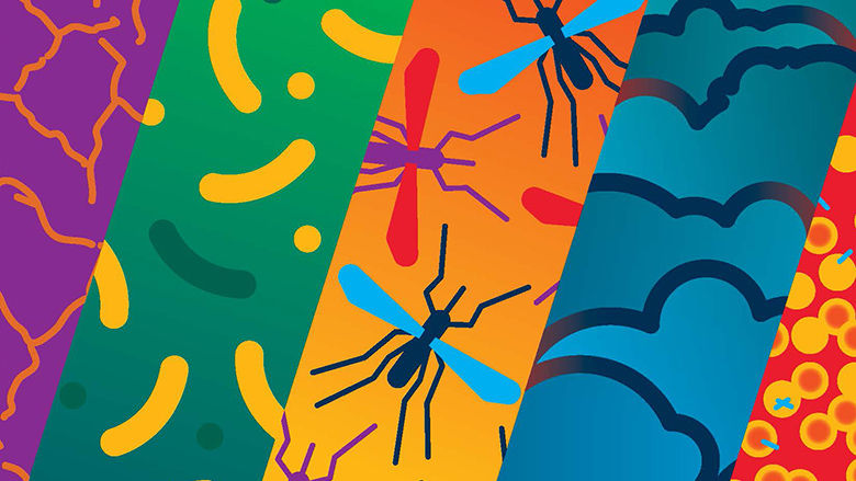 Health : Development news, research, data | World Bank