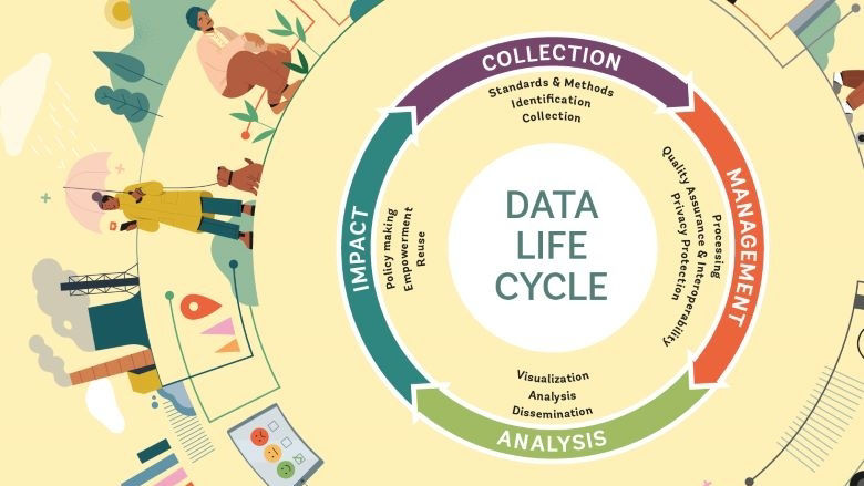 DEC Development Data Group - About Us