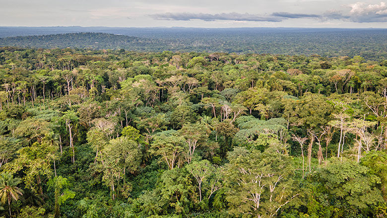 Improved Forest and Landscape Management in the Democratic Republic of ...