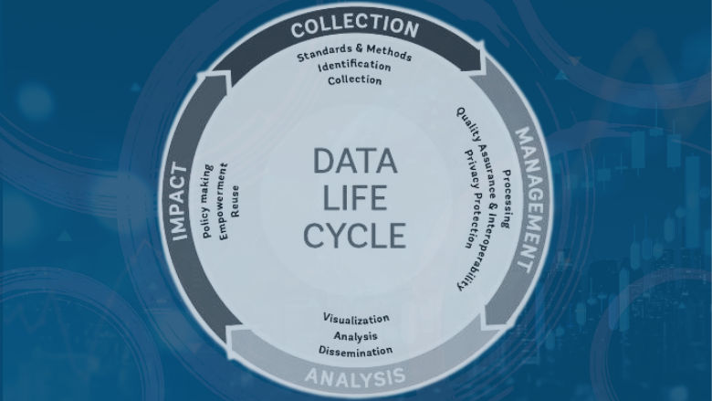 DEC Development Data Group - About Us