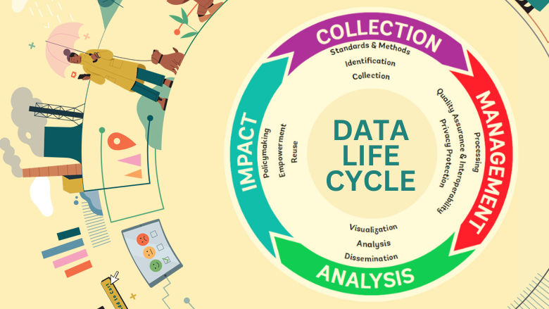 DEC Development Data Group - About Us