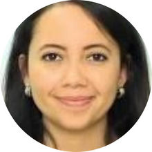 GovTech Innovation Lab: Lessons from the GovTech Country Initiatives