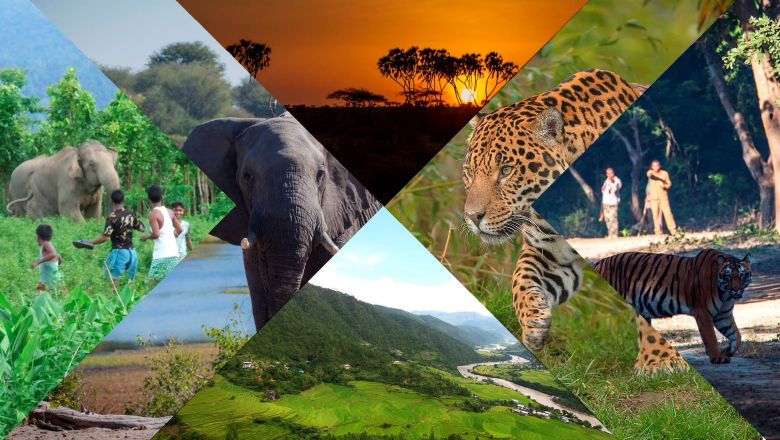 Knowledge Exchange: Media Engagement for Human-Wildlife Conflict Mitigation