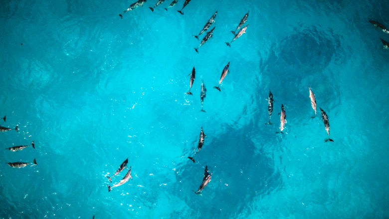 Ocean Protectors: How the Old Ways of Protecting the Ocean Are New ...