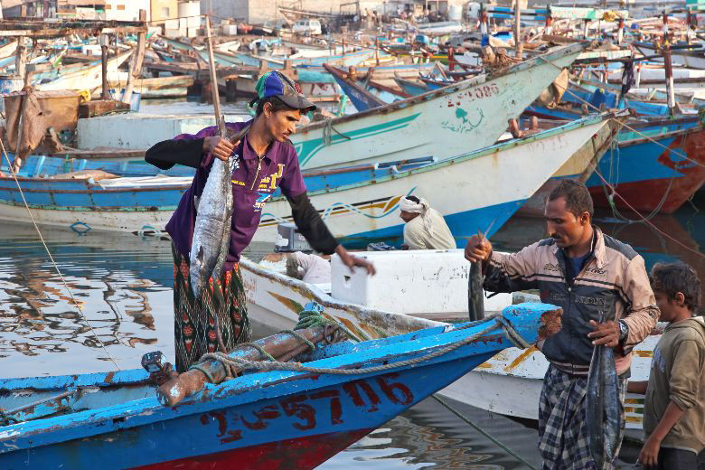 New World Bank Project Will Support Sustainable Fisheries in Yemen