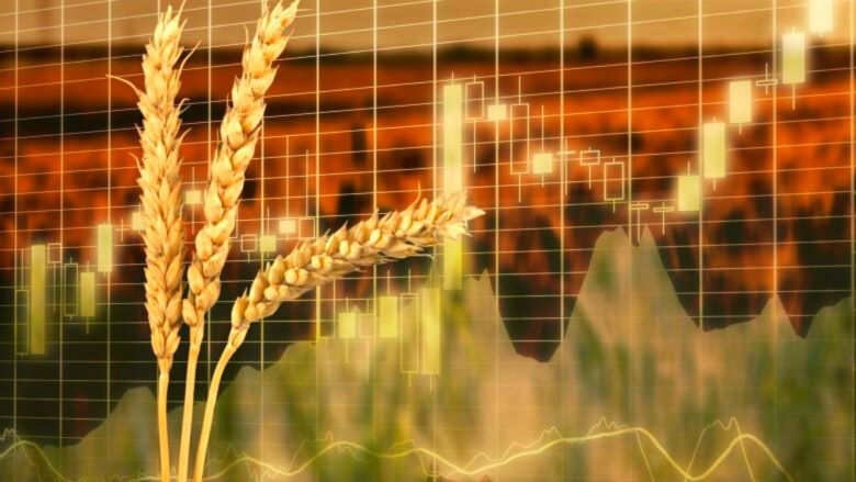 DEC Development Data Group