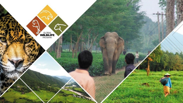 Human-Wildlife Conflict: Global Policy and Perception Insights World ...