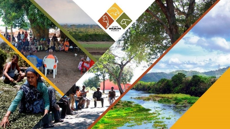 Collage On Conservation Of Natural Resources
