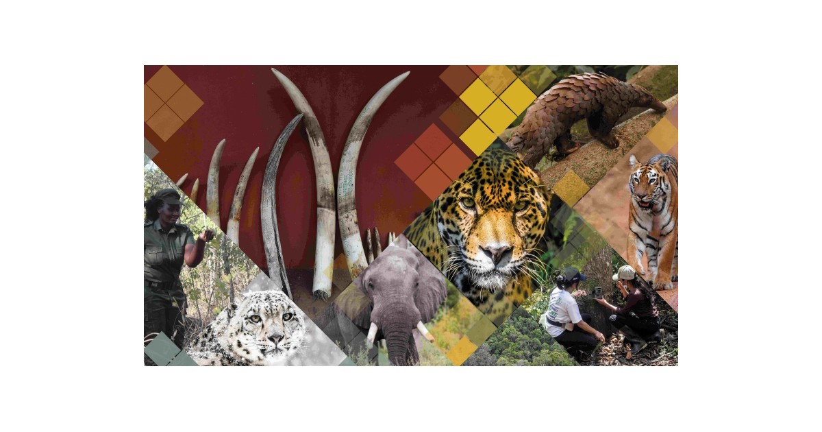 Event | Lessons in combating poaching