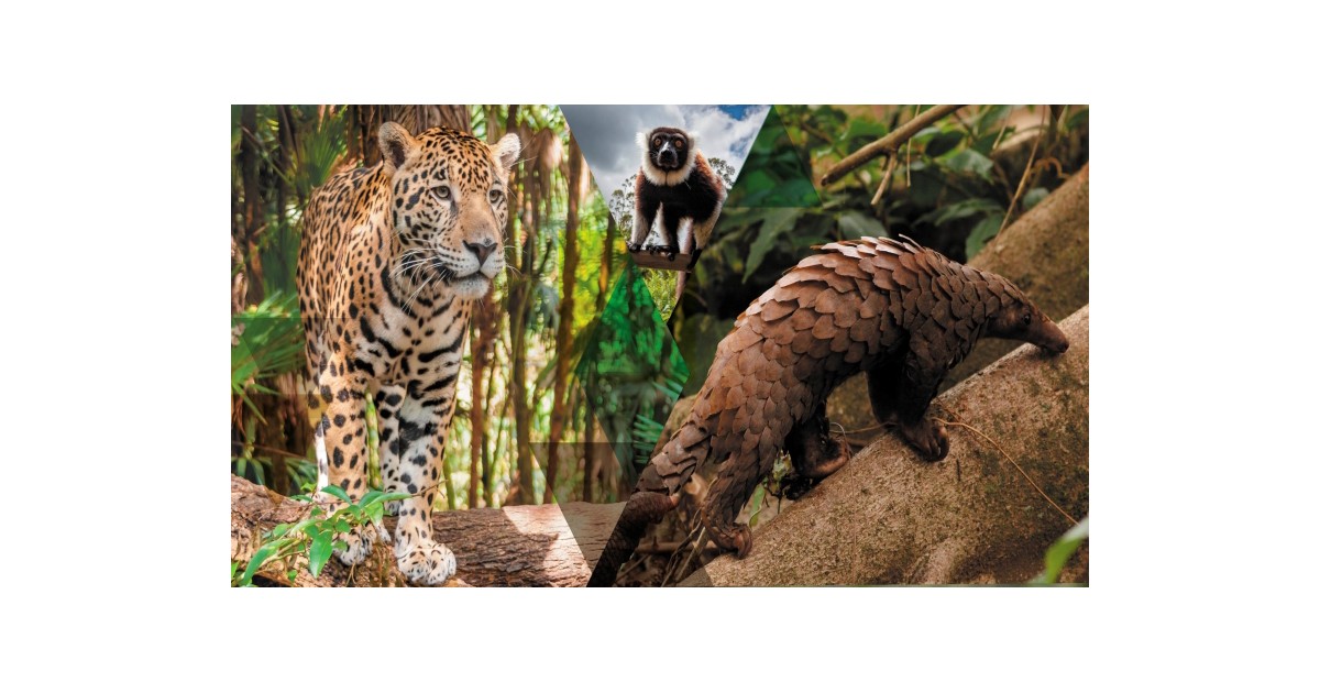 Event | Creating a Message for Impactful Behavior Change