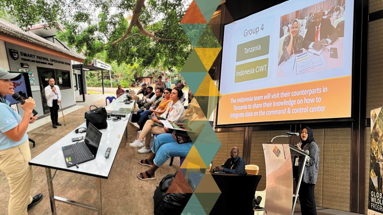 Presentation Skills Series: Successful Public Speaking and Storytelling