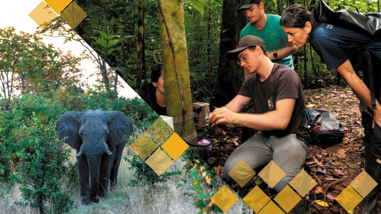 Global Wildlife Program Newsletter