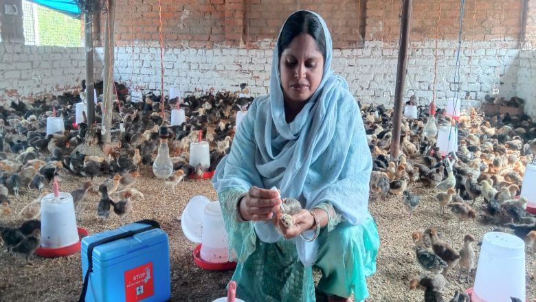 Jharkhand’s Pashu Sakhis: The Community Animal Healthcare Workers