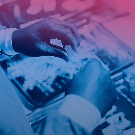 Health : Development news, research, data | World Bank