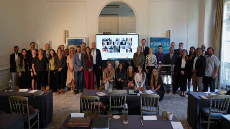 World Bank Group and the Intergovernmental Negotiating Committee on ...