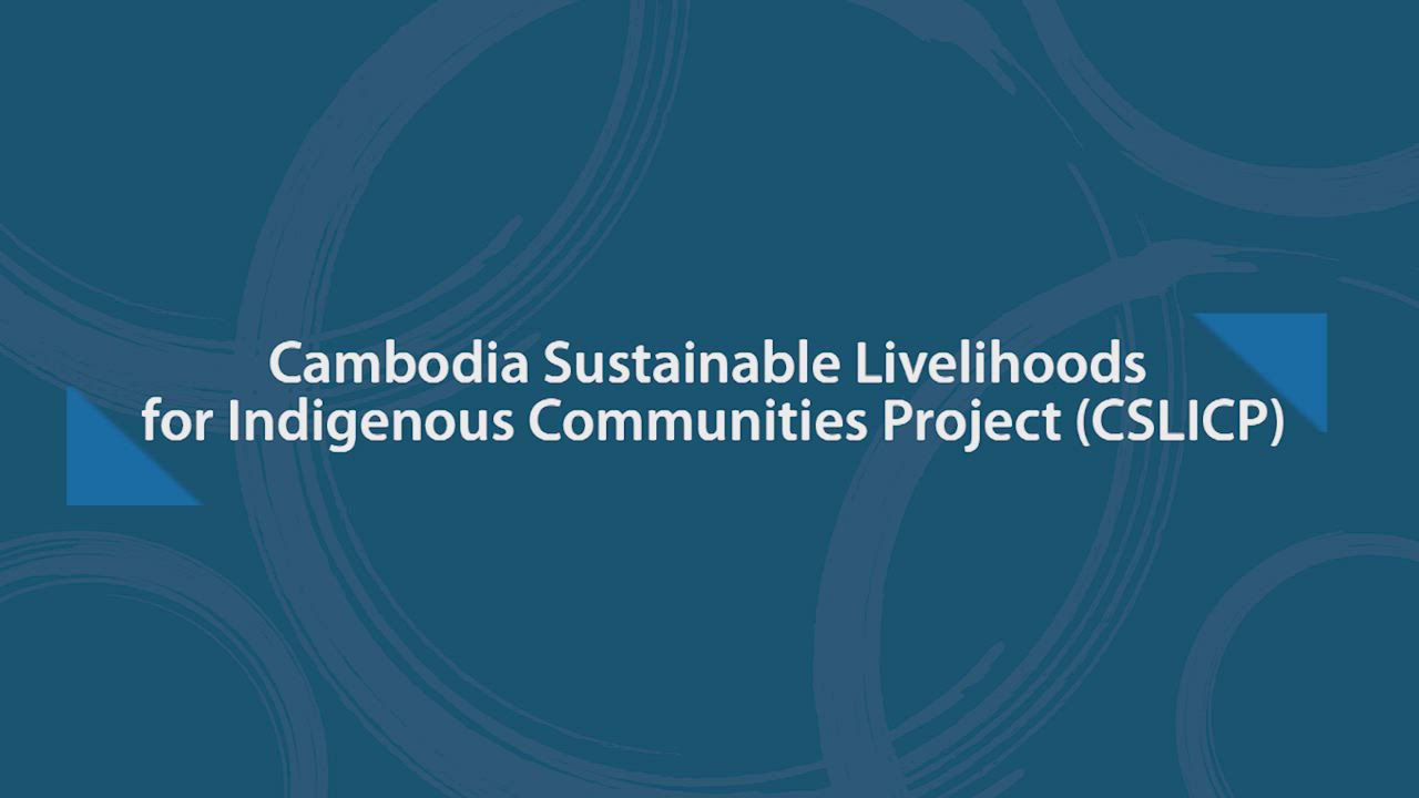 Japan Social Development Fund (JSDF)