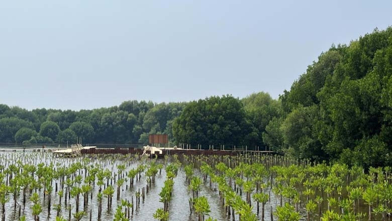 The ABCs of Climate Action in East Asia and Pacific