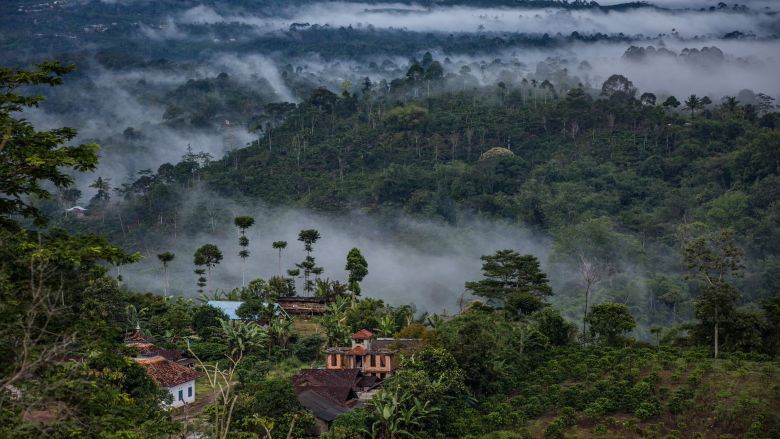 Protecting Forests and Improving Livelihoods in Indonesia