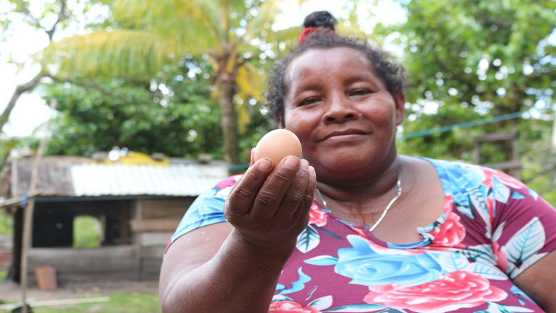 Japan Social Development Fund Publications