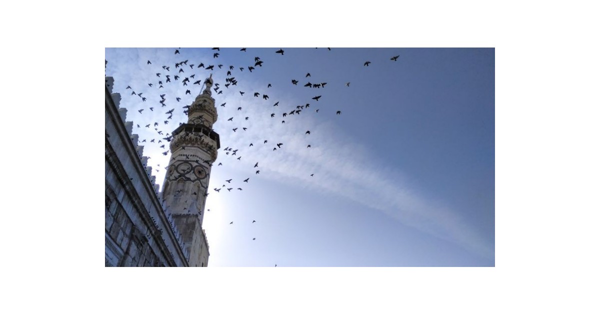 Event | Syria Electricity Emergency Project (SEEP)- Early Market ...