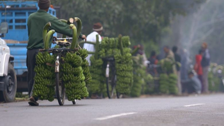 Highway Development and Management Model