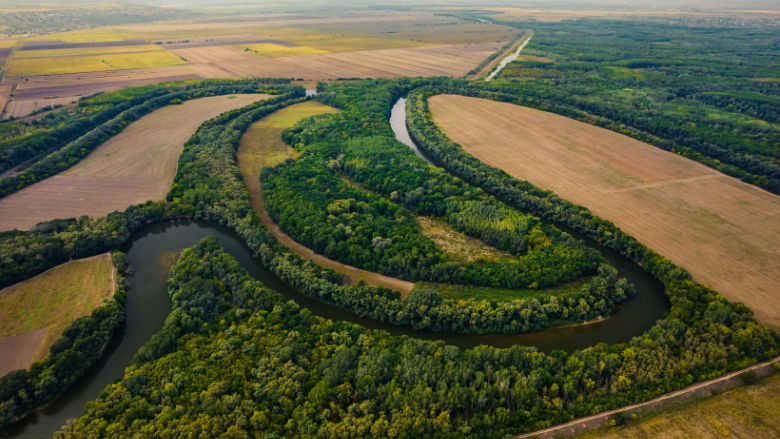 Investing in Moldova’s Forest Biodiversity to Build a More Sustainable ...
