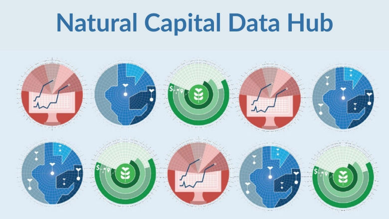 Natural Capital Data Hub
