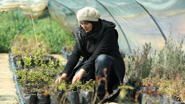 Rural Jobs & Resilience with TRACE: World Bank Support in Tunisia
