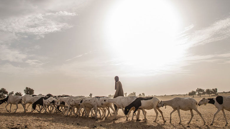 Half a World Apart, Vietnam and the Sahel Face Climate-fueled Food ...