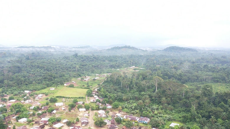 Putting People First: How We Support the Forest Sector in Liberia