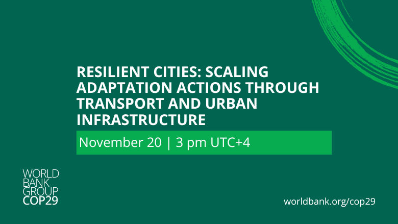 Resilient Cities