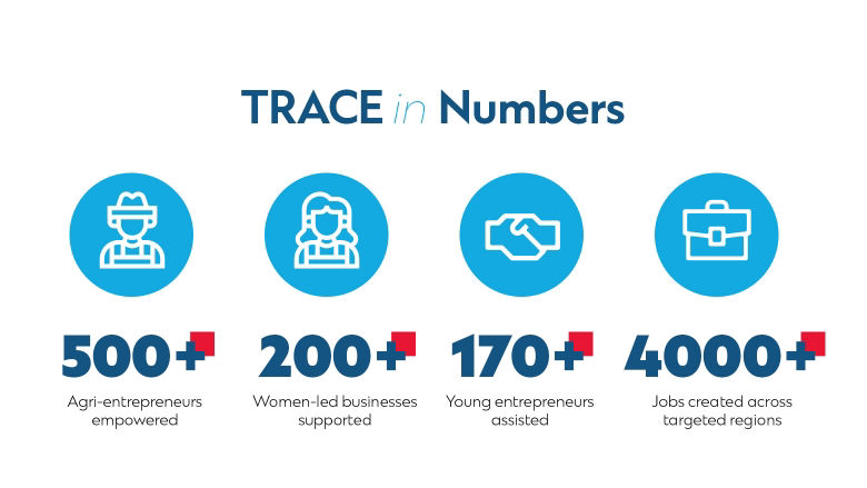 Rural Jobs & Resilience with TRACE: World Bank Support in Tunisia