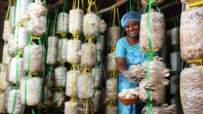 Skilling and Supporting Women Entrepreneurs in Rural Tamil Nadu