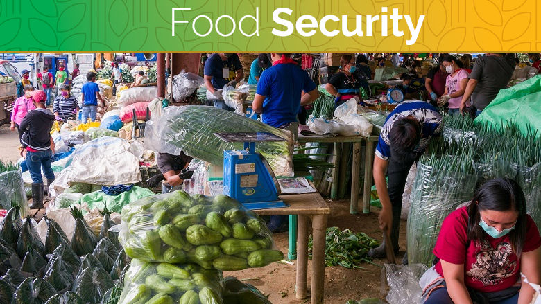 Opinion & News | Food Insecurity & International Development