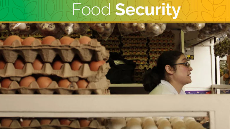 Opinion & News | Food Insecurity & International Development