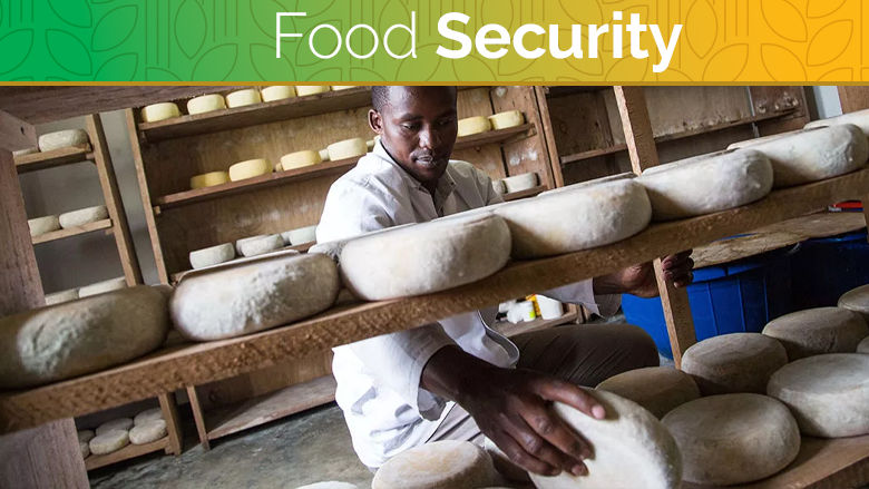 Opinion & News | Food Insecurity & International Development